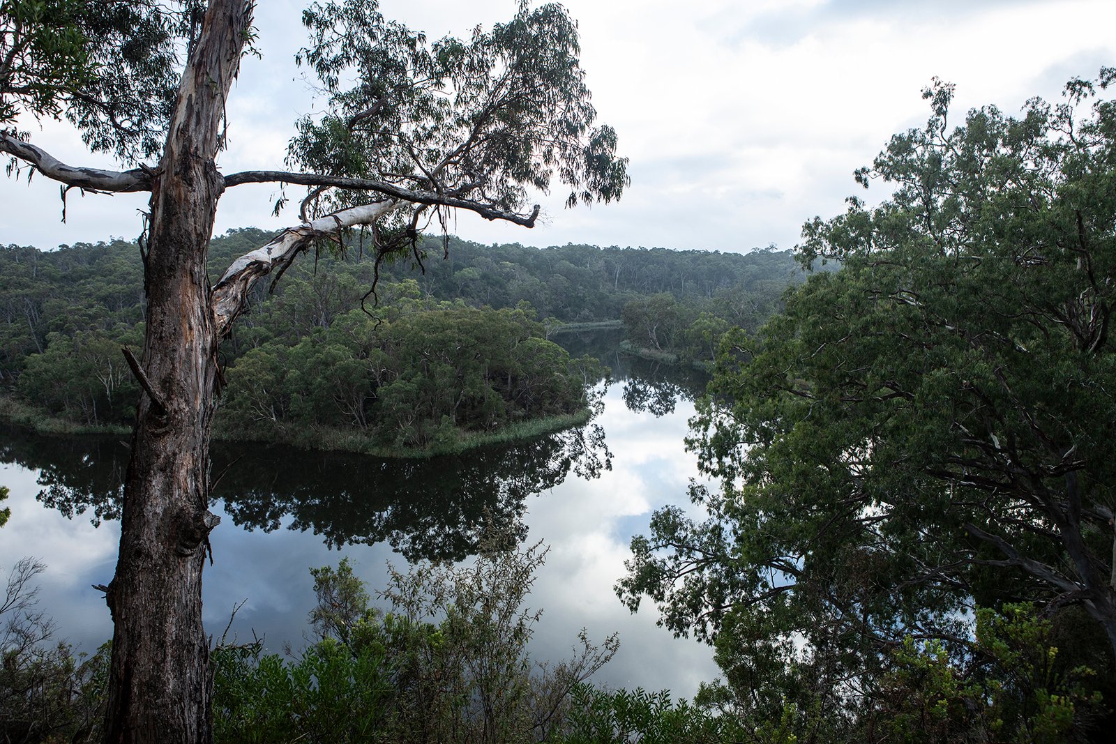 Four Unique Environments – Great South West Walk – South West Victoria ...