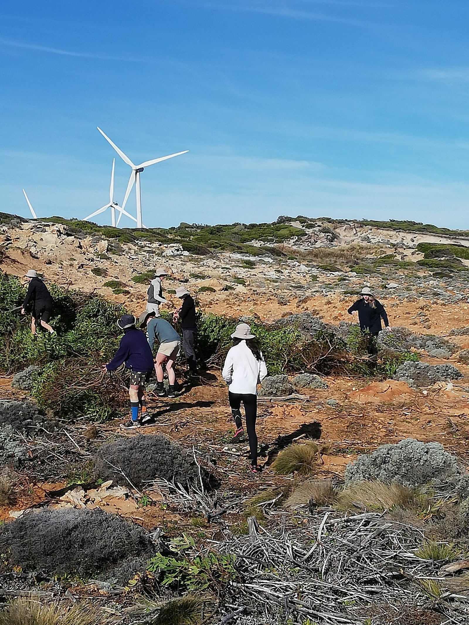 What’s On – Great South West Walk – South West Victoria, Australia